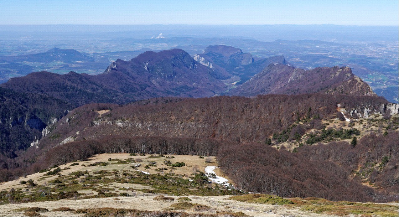 Forêt de Saoû Le creux du synclinal