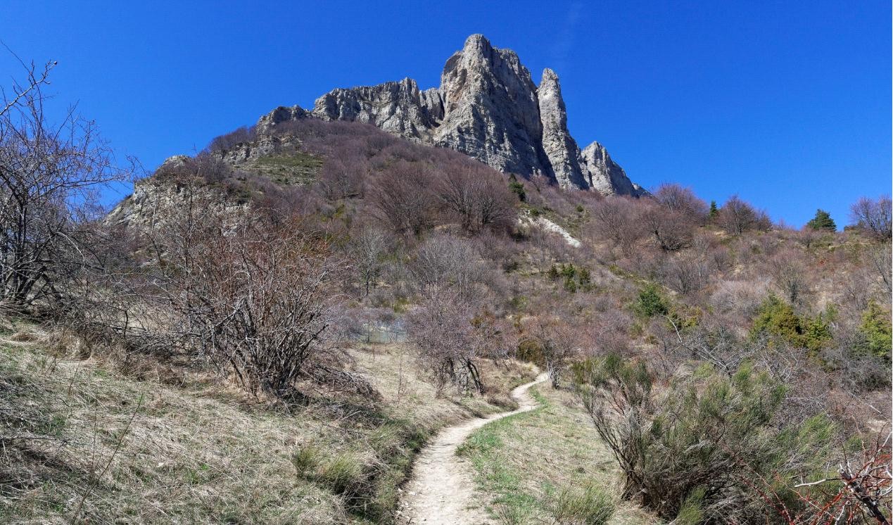 Forêt de Saoû Les aiguilles