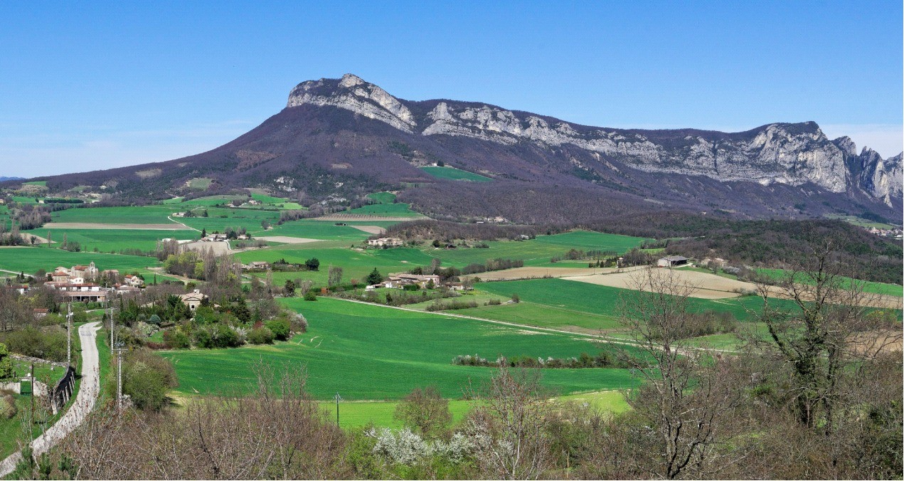 Forêt de Saoû Rochecolombe